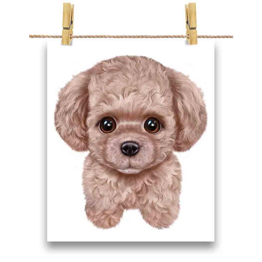 【クリーム色 プードル ドッグ 犬 いぬ】ポスター A2サイズ by Fox Republic : FOX REPUBLIC - 通販 - Yahoo!ショッピング