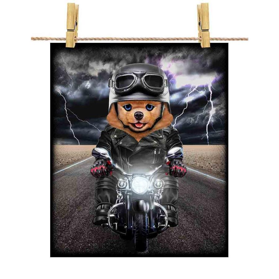 【ポメラニアン ドッグ 犬 いぬ バイク ヘルメット】ポスター A2サイズ by Fox Republic : poster-a2-dog281 : FOX REPUBLIC - 通販 ...