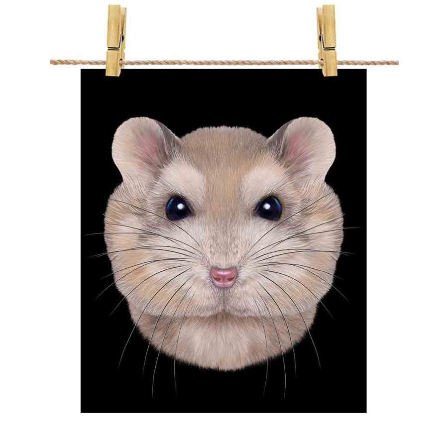 ポスター A2 プディング・ハムスター by Fox Republic : poster-a2-hamster1-1 : FOX REPUBLIC - 通販 - Yahoo!ショッピング