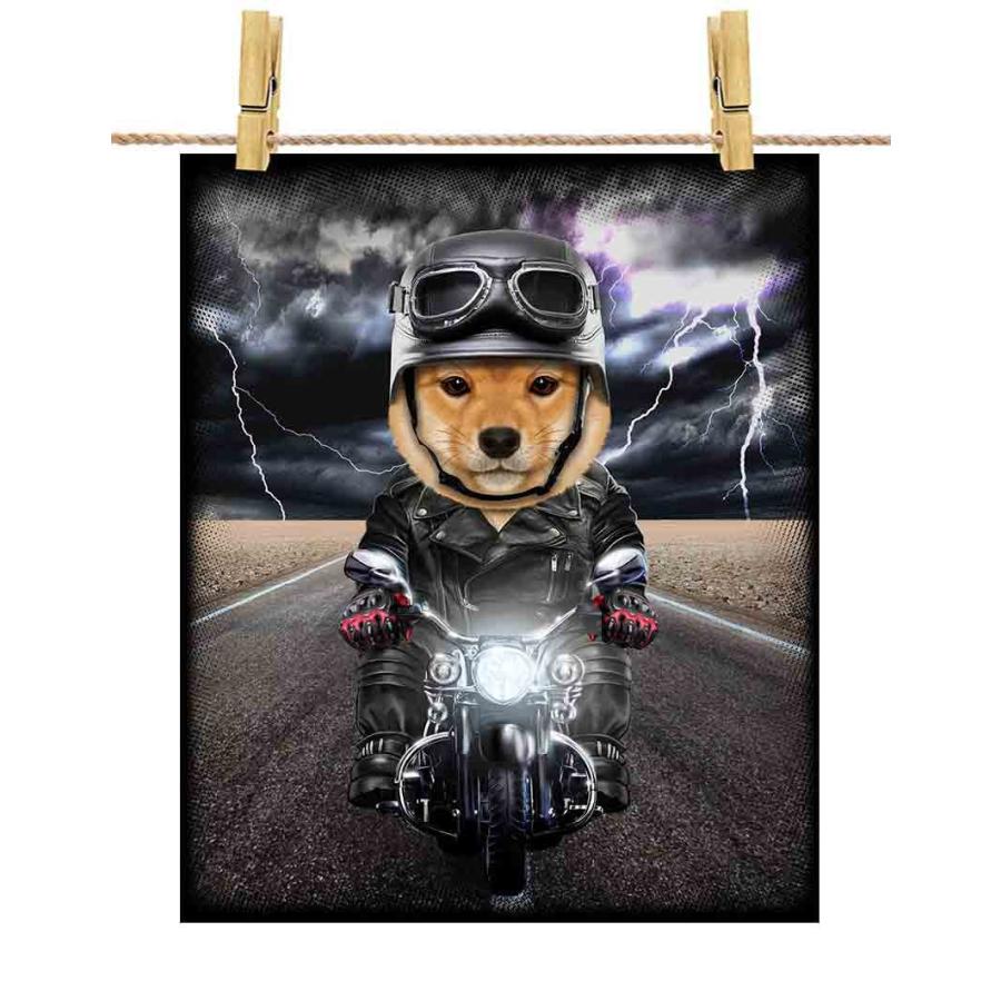 【仔犬の 柴犬 ドッグ 犬 いぬ バイク ヘルメット】ポスター A3サイズ by Fox Republic : poster-a3-dog-sh3-30 : FOX REPUBLIC - 通販 ...