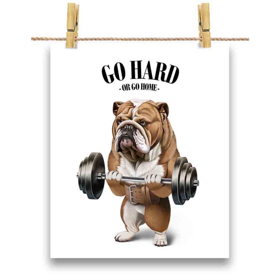 ポスター A4 ブルドッグ いぬ 犬 筋トレ 筋肉 ウエイトリフティング ジム by Fox Republic : poster-a4-bulldog-set4 : FOX REPUBLIC ...