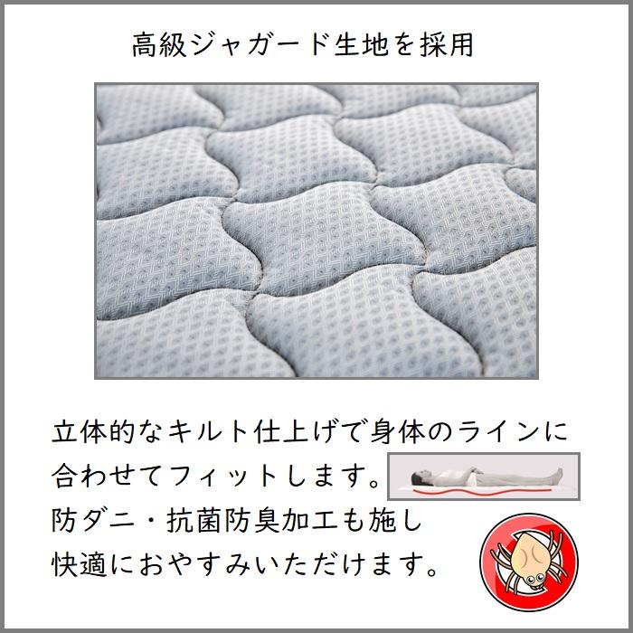 フランスベッド 【お部屋まで搬入・開梱設置無料】フランスベッド TW-010α マットレス シングル 幅97cm TW010 ZT020 ZT030 後継 人気 腰痛 マット 硬い ...