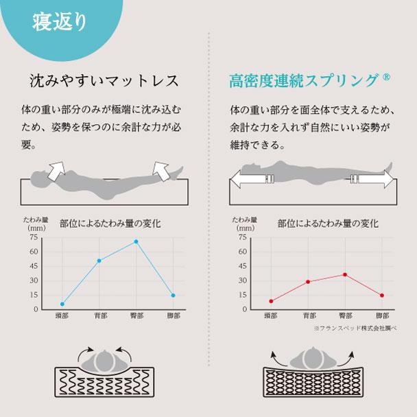 フランスベッド 正規品 脚付きマットレスベッド ベッド ベット フランスベッド 正規品 脚付きマットレスベッド ベッド ベット
