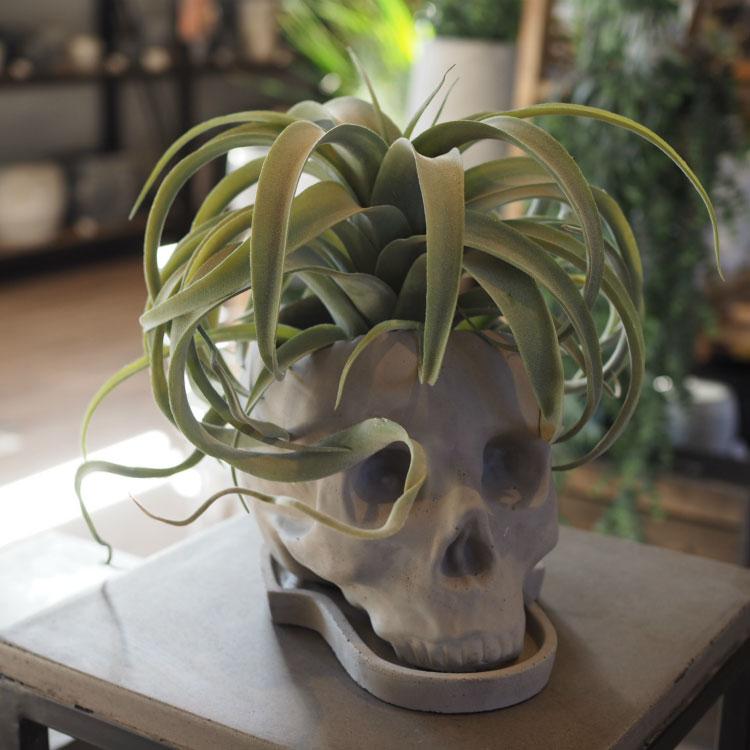 植木鉢・おしゃれ・テラコッタ コンクリートポット CC038-080 8cm x 12cm :CC038-080:インテリアグリーン専門店 Frants - 通販 - Yahoo!ショッピング