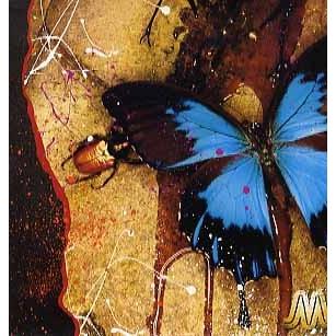 【レコード】MOOMIN feat Corn Head, Rude boy Face - 禁断の森 (JPN) 12" JAPAN 2002年 ...