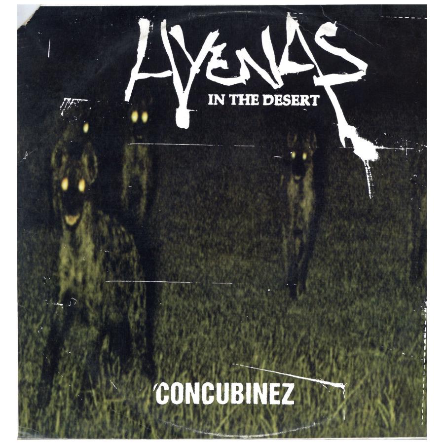 【レコード】HYENAS IN THE DESERT - CONCUBINEZ 12" US 1996年リリース : フリークスレコード ...