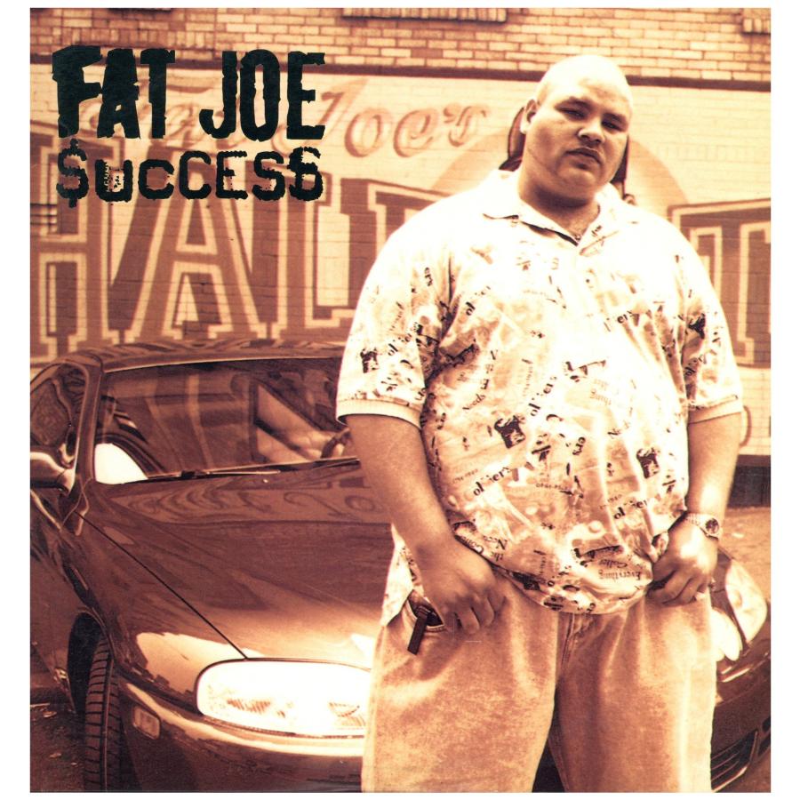 【レコード】FAT JOE - SUCCESS (DJ PREMIER REMIX) / Part Deux 12" US 1995年リリース ...