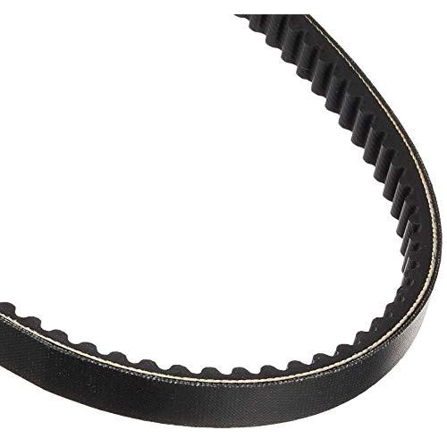 バイクパーツセンター(Bike Parts Center) バイク用ドライブベルト ホンダ スーパーDio AF27 等 80-18 : FREE-Store - 通販 - Yahoo!ショッピング