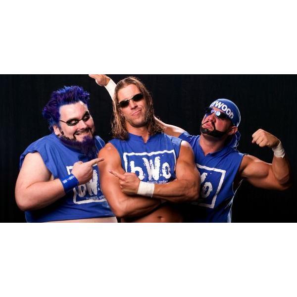 GILDAN ブルー・ミーニー Tシャツ「BLUE MEANIE Blue World Order bWo ロゴTシャツ（ブルー）」アメリカ直 ...