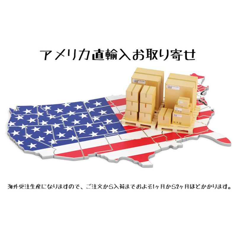 辻陽太 新日本プロレス 海外生産 輸入Tシャツ「YOTA TSUJI Moonrise Tシャツ」並行輸入品 : アメリカンプロレスTシャツショップ フリーバーズ - 通販 - Yahoo ...