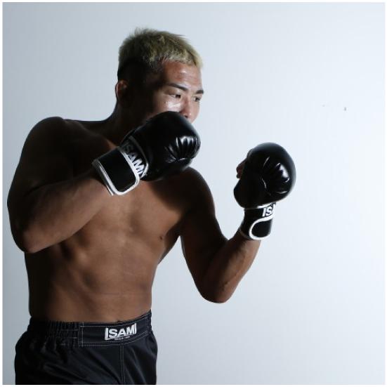 isami イサミ TN-8 パウンドグローブ スパーリング 総合格闘後 : FREEDOM ONLINE SHOP - 通販 - Yahoo!ショッピング