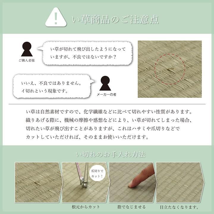 イケヒコ 国産 い草 い草シーツ ネゴザ 寝ござ シンプル さらさら 【ブルー】 シングル 約88×180 7418909 : フリーダムズ - 通販 - Yahoo!ショッピング