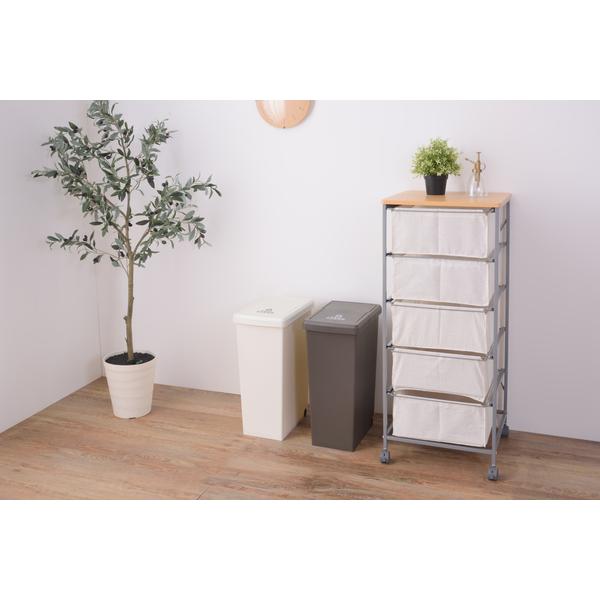 東谷 東谷 スライドペール30L LFS-762WH W24×D37×H53 1.4kg 完成品 : フリーダムズ - 通販 - Yahoo!ショッピング