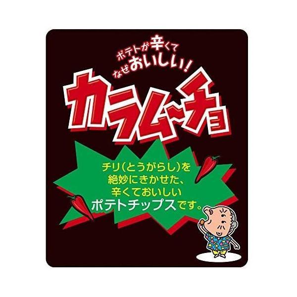 湖池屋 お徳用カラムーチョチップス ホットチリ味 126g ×12袋 : フリージアストア - 通販 - Yahoo!ショッピング