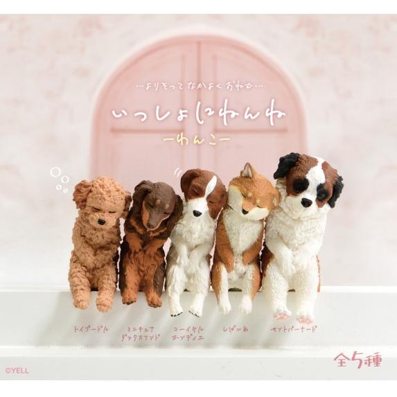 予約 エール いっしょにねんね わんこ 1BOX 10個入 25年08月 : ブーストギア ヤフー店 - 通販 - Yahoo!ショッピング