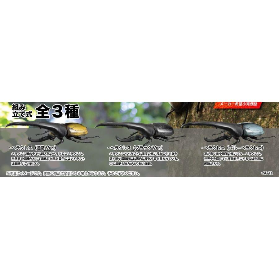 新品 SO-TA 1/1 ヘラクレスオオカブト ver.2.0 1BOX 4個入 : ブーストギア ヤフー店 - 通販 - Yahoo!ショッピング