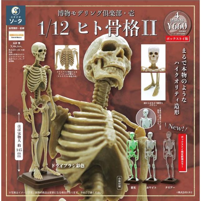 予約 SO-TA 1/12 博物モデリング倶楽部・壱 ヒト骨格II 1BOX 4個入 25年08月 : ブーストギア ヤフー店 - 通販 - Yahoo!ショッピング