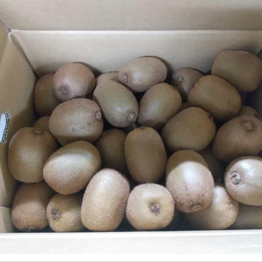 愛媛県産 キウイフルーツ （ヘイワード）M〜2Lサイズ 5kg : kiy-1 : fresh マーケット - 通販 - Yahoo!ショッピング
