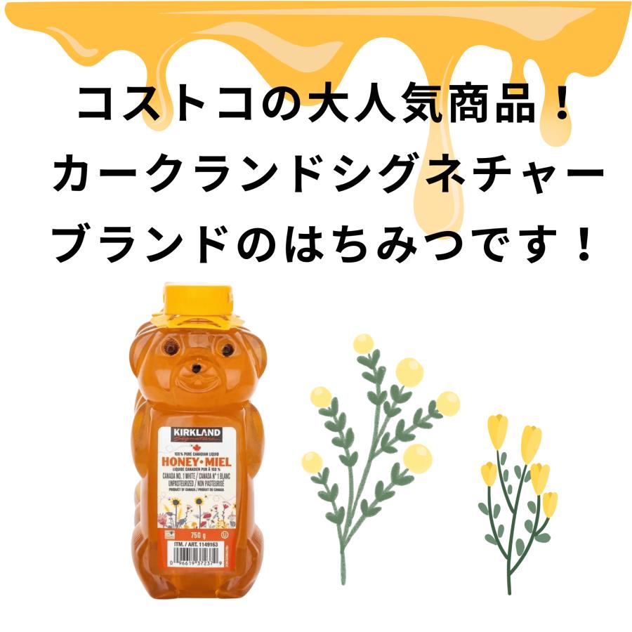 コストコ カークランド はちみつ ベアージャグ 750g x 6本 : フレッシュバード - 通販 - Yahoo!ショッピング