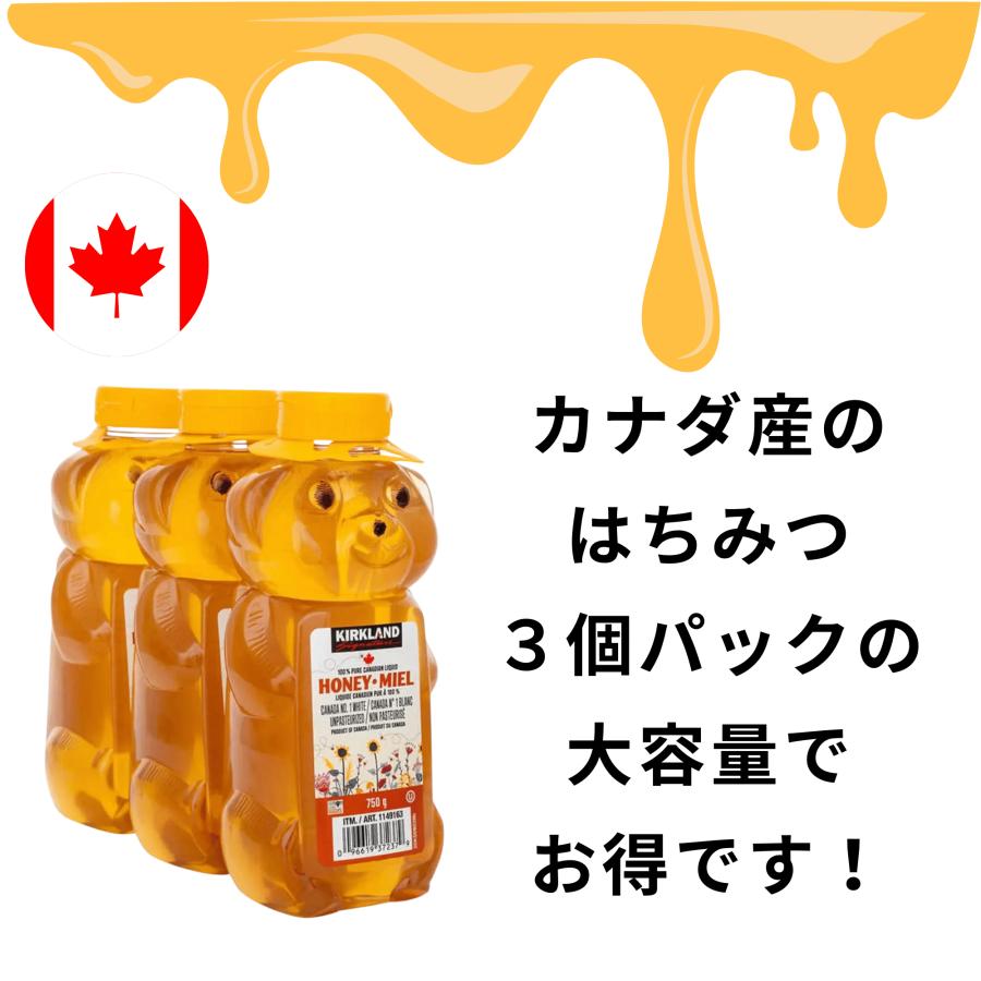 コストコ カークランド はちみつ ベアージャグ 750g x 6本 : フレッシュバード - 通販 - Yahoo!ショッピング