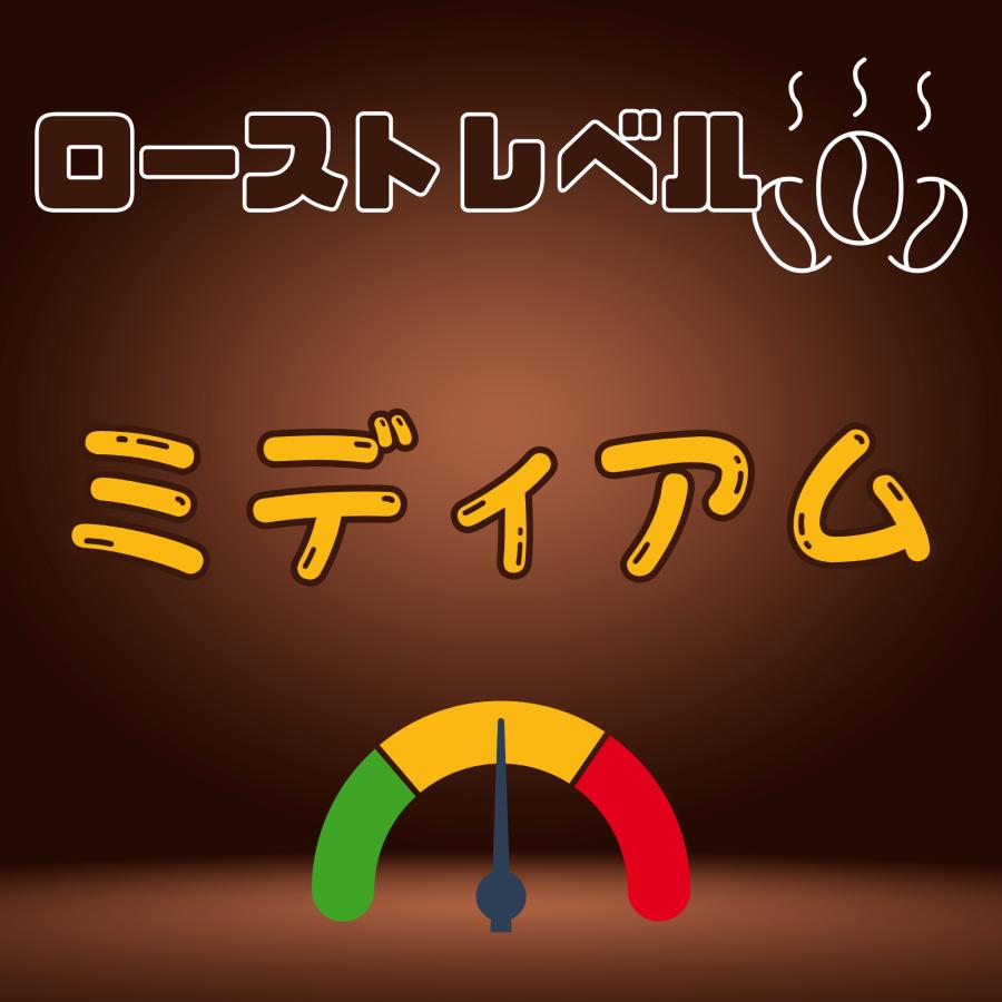 スターバックス コーヒー パイクプレイス ロースト 793g x 2袋 コーヒー豆 中挽き ミディアムロースト レギュラー 粉 スタバ : フレッシュバード - 通販 - Yahoo!ショッピング