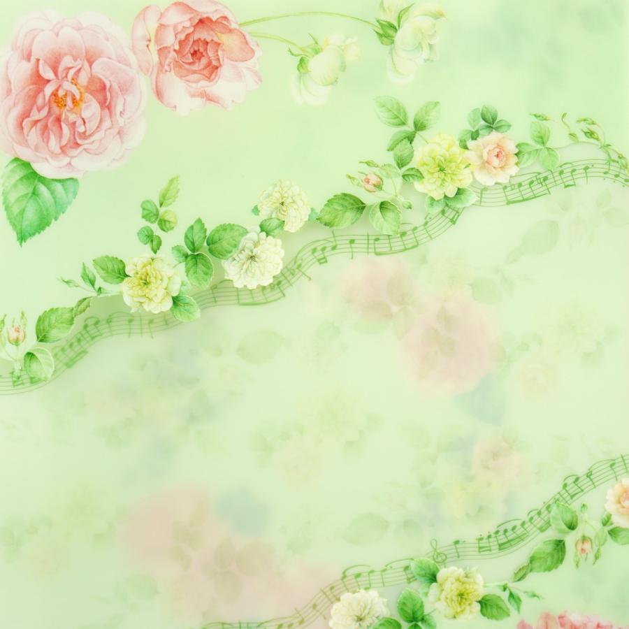 クリアフォルダ A5 ワイルドローズ｜cf-134 : cf-134 : フロンティアYahoo!ショップ - 通販 - Yahoo!ショッピング