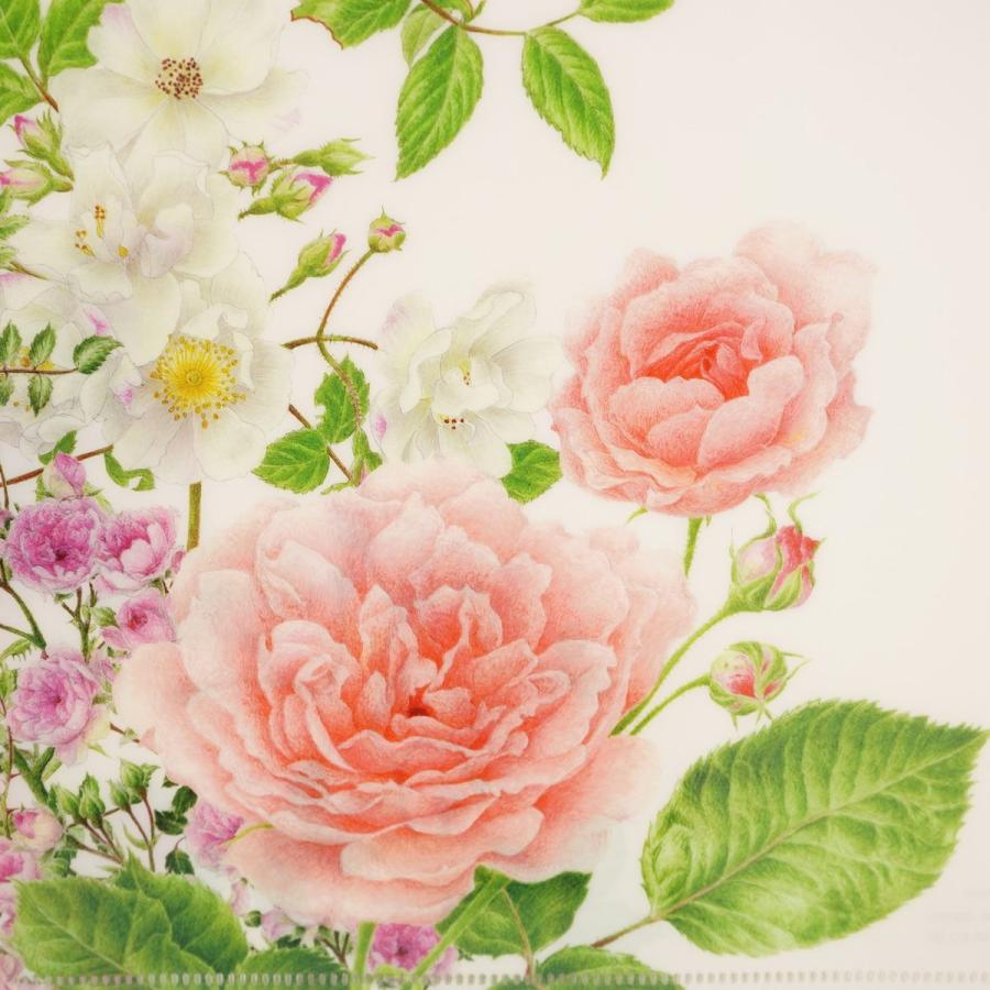 クリアフォルダ A4 ボタニカルローズ｜cf-136 : フロンティアYahoo!ショップ - 通販 - Yahoo!ショッピング