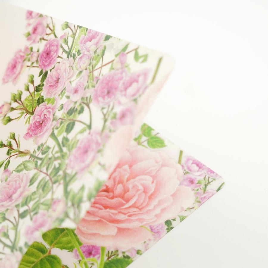 クリアフォルダ A4 ボタニカルローズ｜cf-136 : フロンティアYahoo!ショップ - 通販 - Yahoo!ショッピング