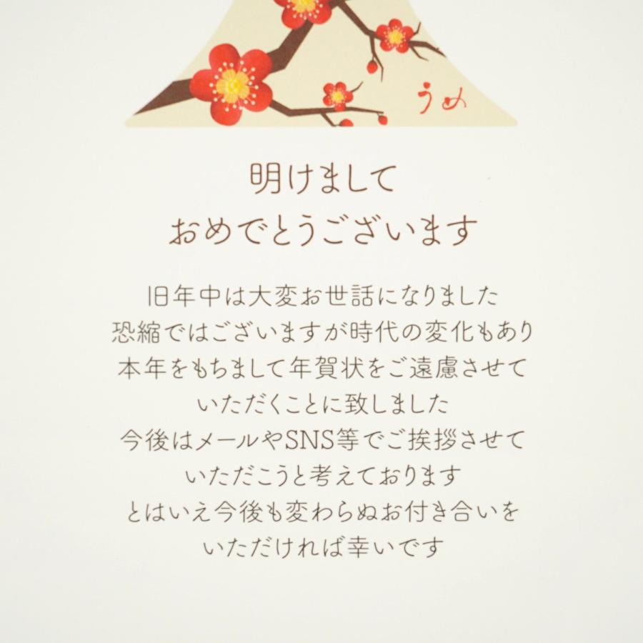 終活年賀はがき 富士山と梅｜fpc-614 : フロンティアYahoo!ショップ - 通販 - Yahoo!ショッピング