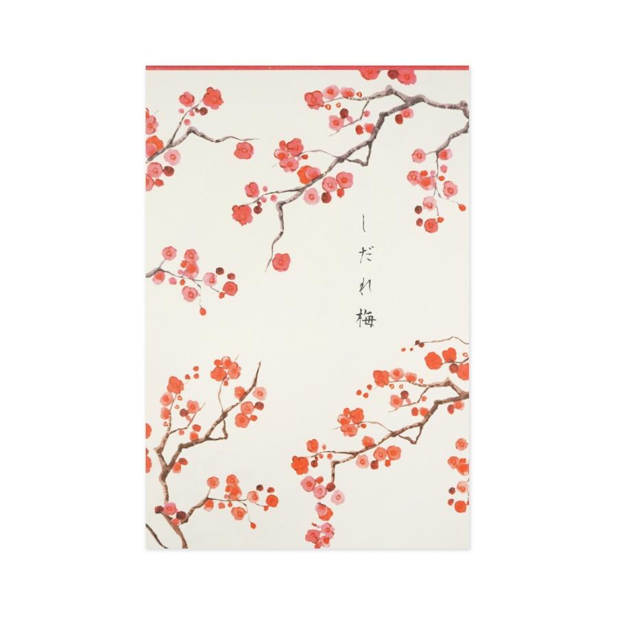 はがき箋 しだれ梅｜hgs-464 : フロンティアYahoo!ショップ - 通販 - Yahoo!ショッピング