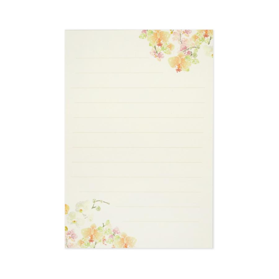 はがき箋 胡蝶蘭｜hgs-466 : フロンティアYahoo!ショップ - 通販 - Yahoo!ショッピング