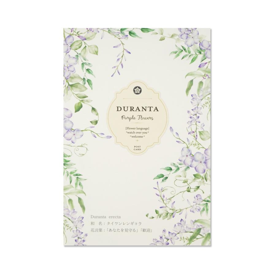 はがき箋 デュランタ｜hgs-477 : hgs-477 : フロンティアYahoo!ショップ - 通販 - Yahoo!ショッピング