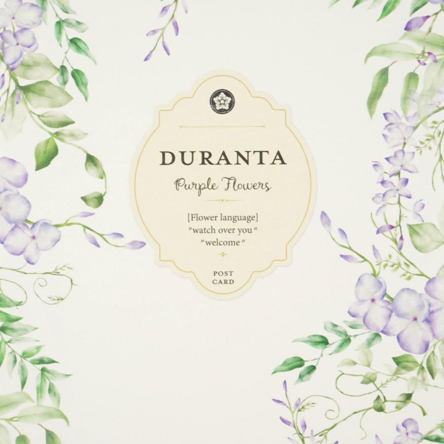 はがき箋 デュランタ｜hgs-477 : hgs-477 : フロンティアYahoo!ショップ - 通販 - Yahoo!ショッピング