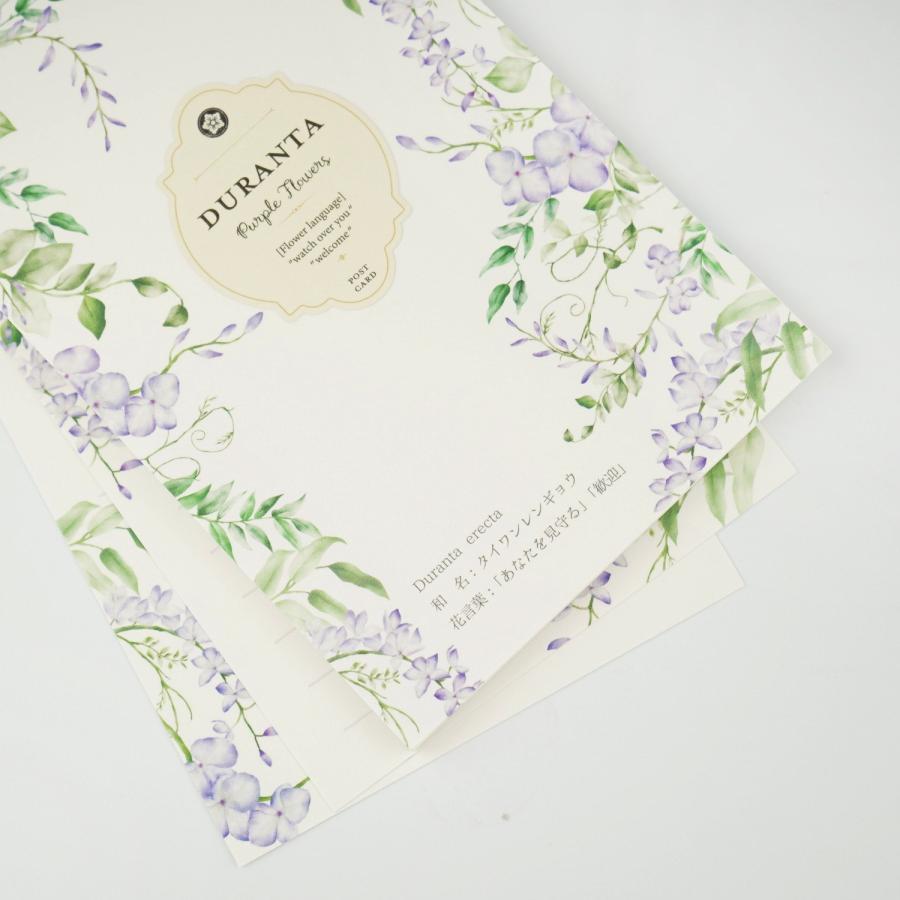 はがき箋 デュランタ｜hgs-477 : hgs-477 : フロンティアYahoo!ショップ - 通販 - Yahoo!ショッピング
