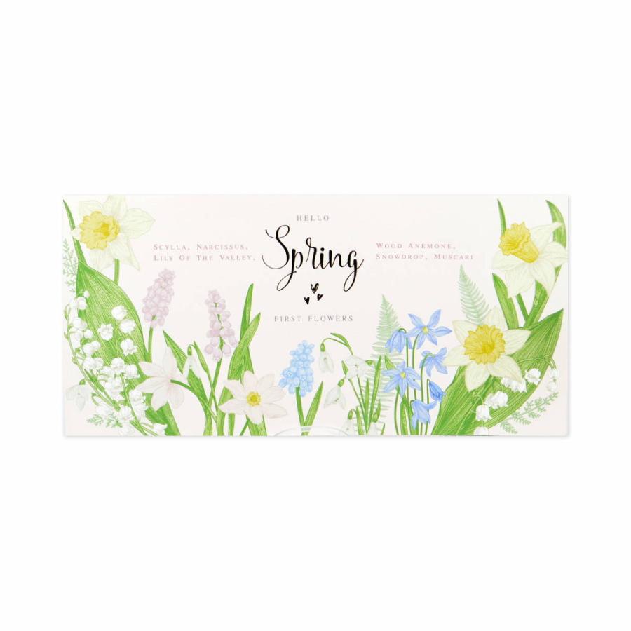 一筆箋 ハロースプリング｜mp-493 : フロンティアYahoo!ショップ - 通販 - Yahoo!ショッピング