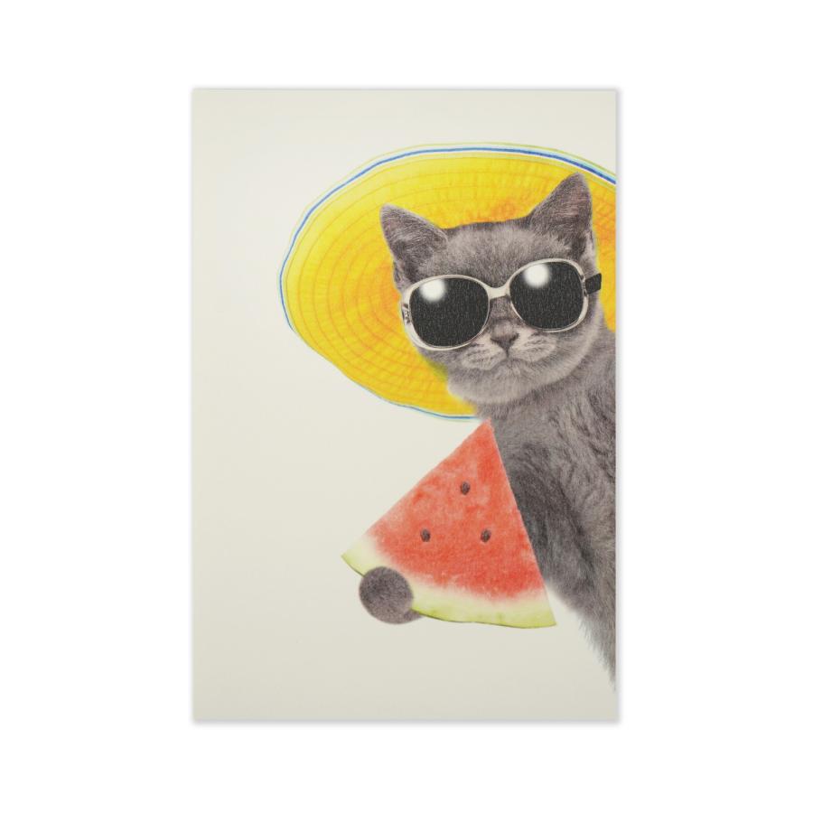 ポストカード ネコスイカ｜pcr-093 : フロンティアYahoo!ショップ - 通販 - Yahoo!ショッピング