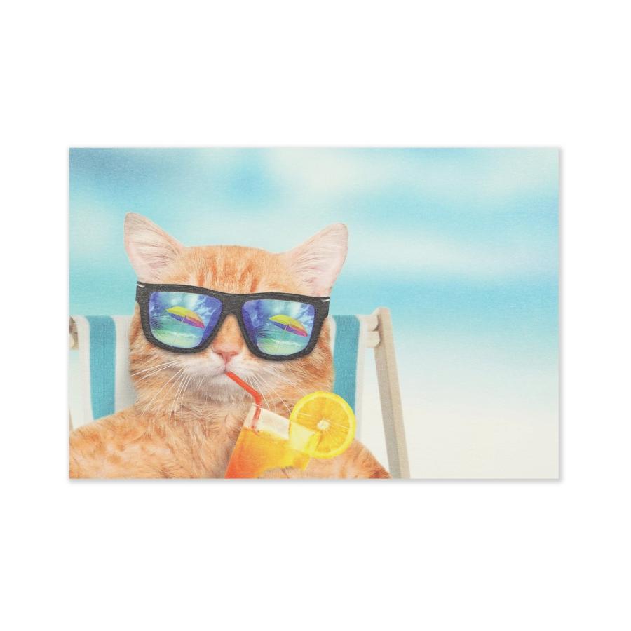 ポストカード ネコビーチ｜pcr-095 : フロンティアYahoo!ショップ - 通販 - Yahoo!ショッピング