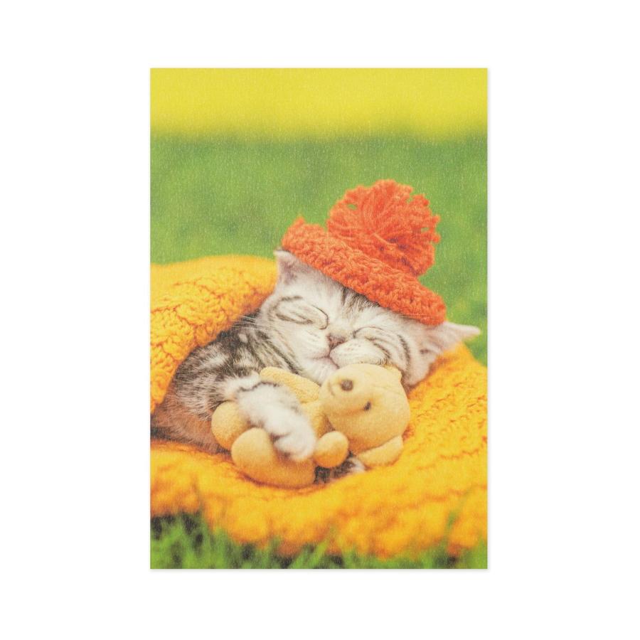 ポストカード ネコと帽子｜pcr-114 : フロンティアYahoo!ショップ - 通販 - Yahoo!ショッピング