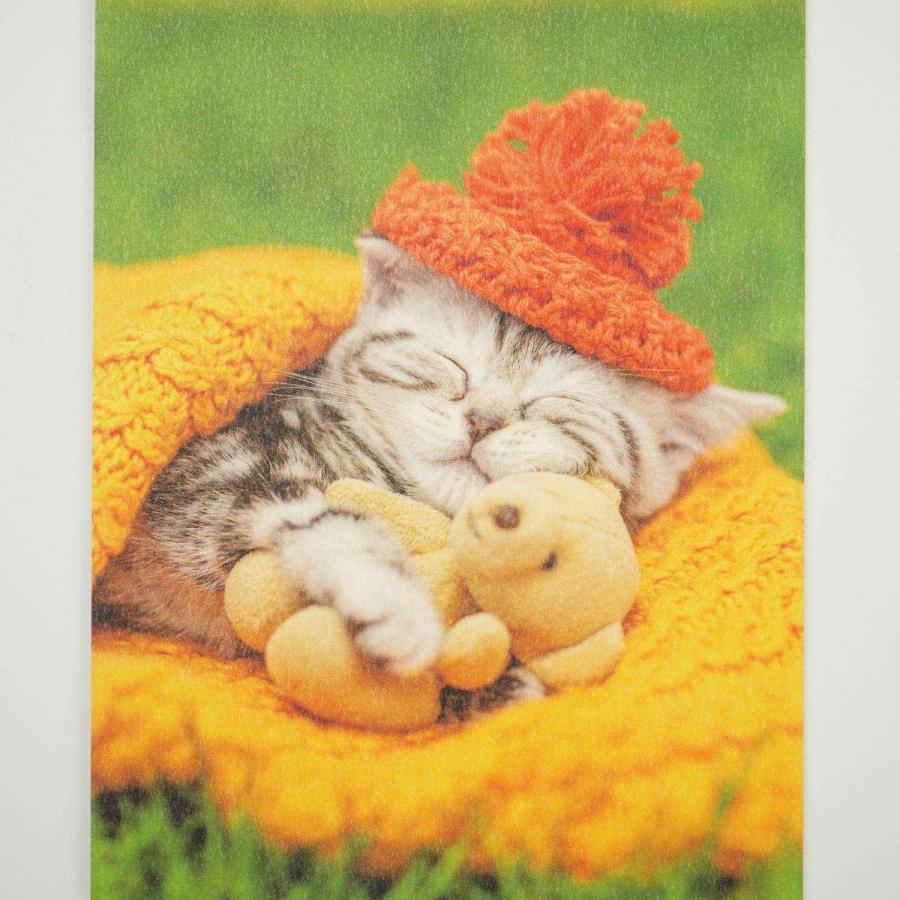 ポストカード ネコと帽子｜pcr-114 :pcr-114:フロンティアYahoo!ショップ - 通販 - Yahoo!ショッピング