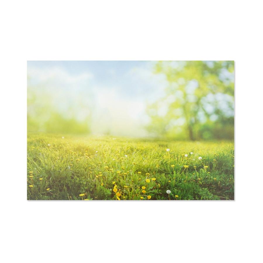 ポストカード 春の野原｜pcr-132 : フロンティアYahoo!ショップ - 通販 - Yahoo!ショッピング