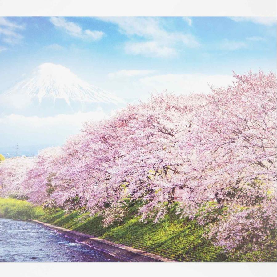 ポストカード 川辺から富士山と桜｜pcr-135 : フロンティアYahoo!ショップ - 通販 - Yahoo!ショッピング