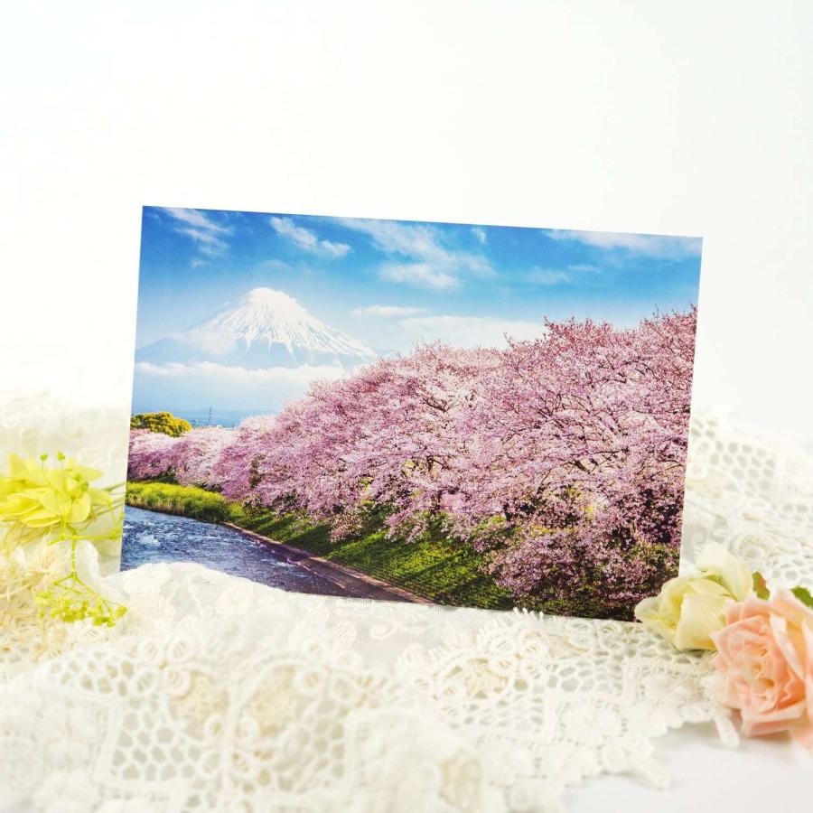 ポストカード 川辺から富士山と桜｜pcr-135 : フロンティアYahoo!ショップ - 通販 - Yahoo!ショッピング