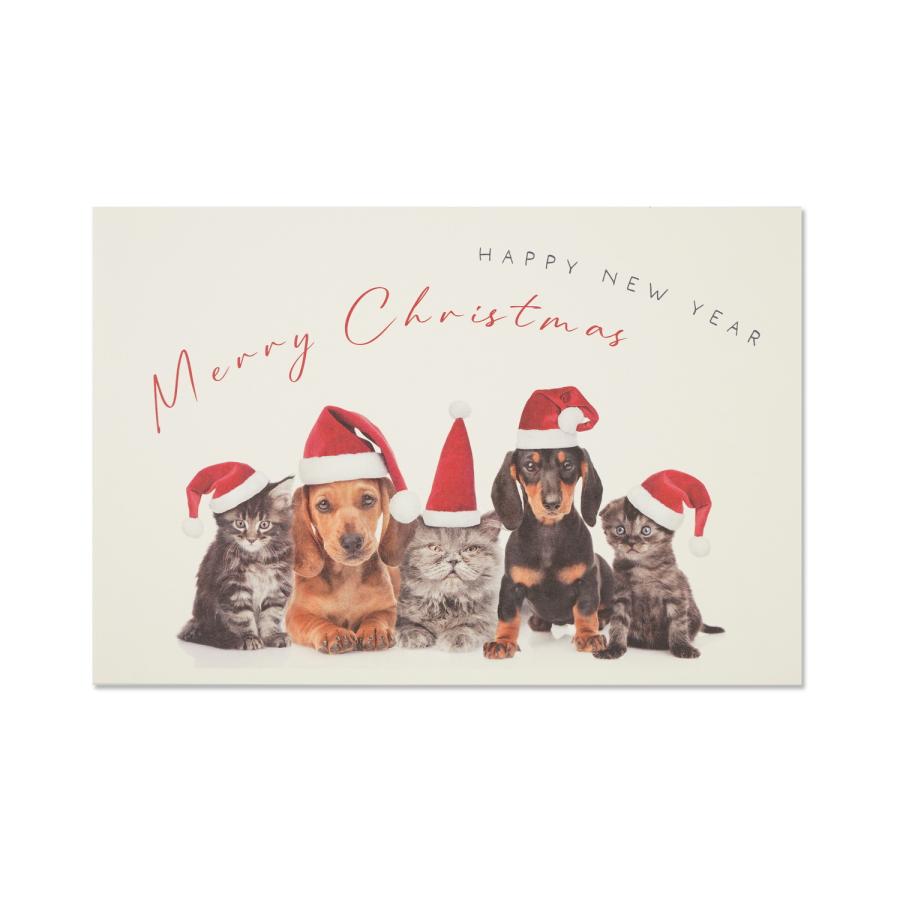 クリスマスポストカード ニャンコワンコ｜pcr-151 : pcr-151 : フロンティアYahoo!ショップ - 通販 - Yahoo!ショッピング