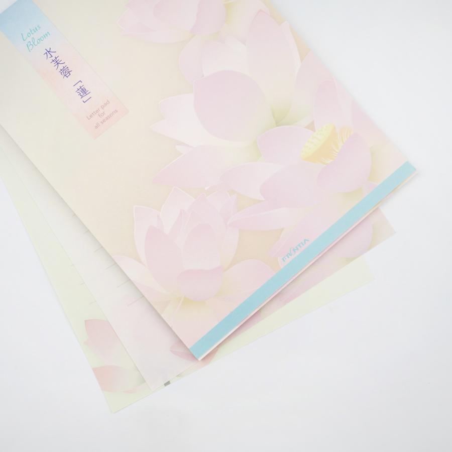 便箋 みずふよう 蓮｜pd-642 : フロンティアYahoo!ショップ - 通販 - Yahoo!ショッピング