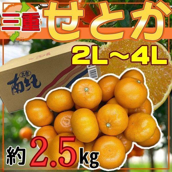 三重県産 せとか 2L〜4L 約2.5kg : ふるふぁみストア - 通販 - Yahoo!ショッピング