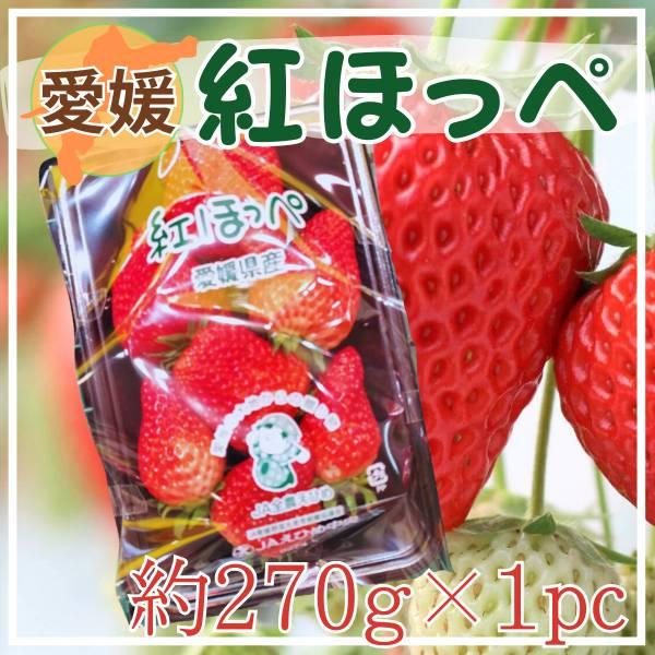 愛媛県産 紅ほっぺ 約270g×1パック : ふるふぁみストア - 通販 - Yahoo!ショッピング