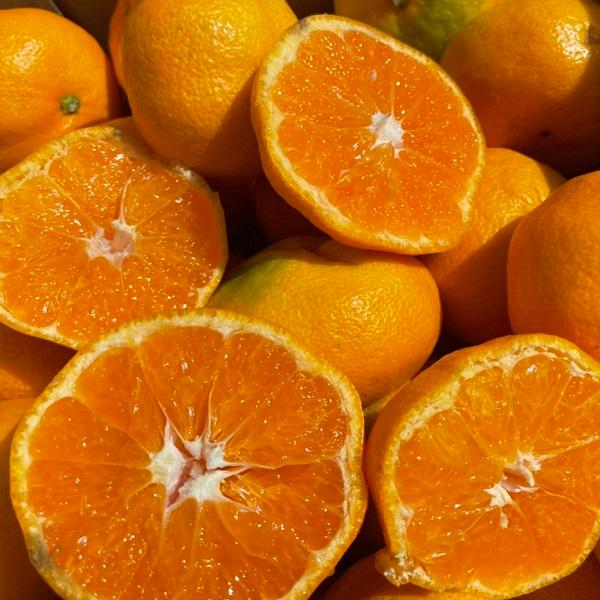 愛媛産訳ありみかん2kg×1箱 送料無料 買えば買うほどお得に 2箱で +2kg(6kgセット) 3箱で +4kg(10kgセット) フルーツ 旬 ミカン : フルーツショップサニー - 通販 ...