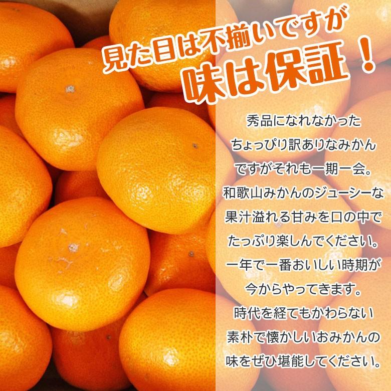 送料無料 有田みかん 和歌山県産 国産 和歌山みかん みかん 温州みかん サイズ 2L 3L 約9kg 秀品 優品 箱買い ご家庭用 : 24-aridamikan-9kg : くだもの観覧車 ...