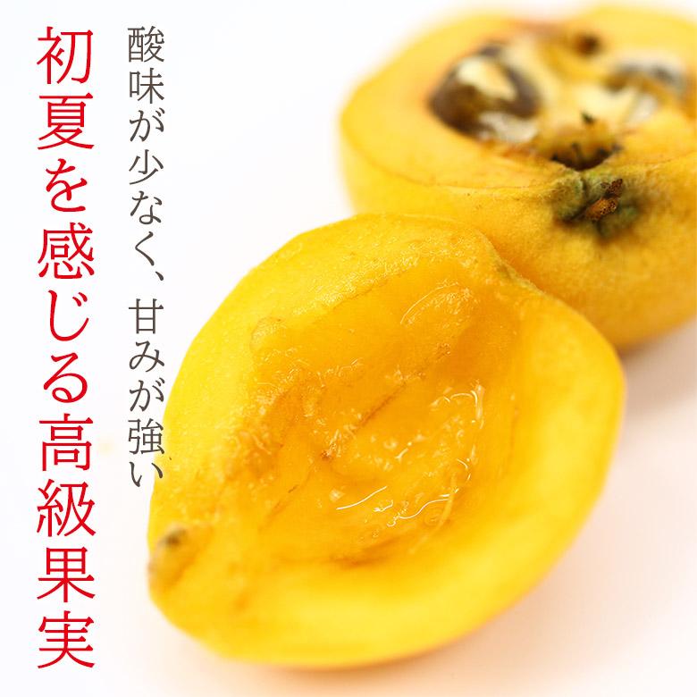 送料無料 産地直送 長崎茂木びわ 茂木びわ 長崎びわ 長崎県 長崎県産 茂木 びわ ビワ 枇杷 化粧 L 2Lサイズ 12玉 国産 ご自宅用 果物 くだもの フルーツ ギフト : くだもの ...