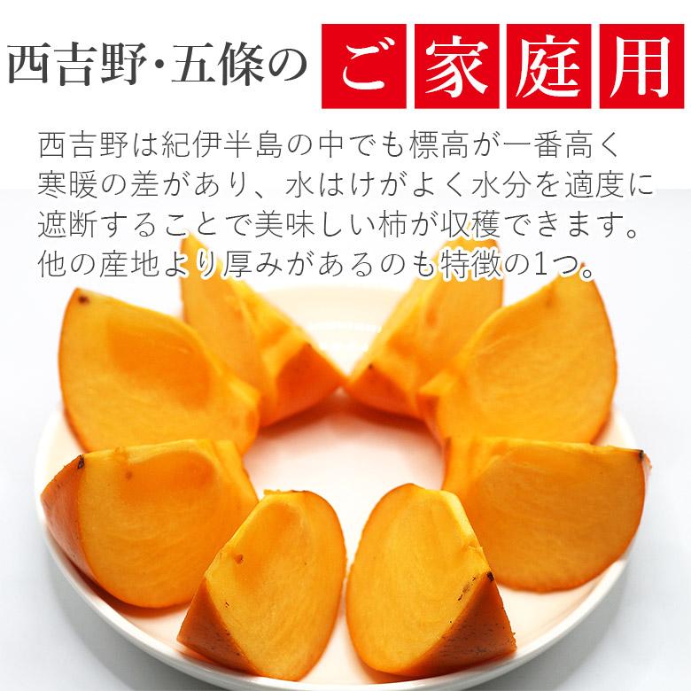 送料無料 奈良県 たねなし柿 ご家庭用 約 7kg 〜 7.5kg 刀根 平核無 平核無柿 秋 産地直送 奈良 西吉野 柿 カキ かき 果物 くだもの フルーツ 敬老の日 種無し : くだもの ...